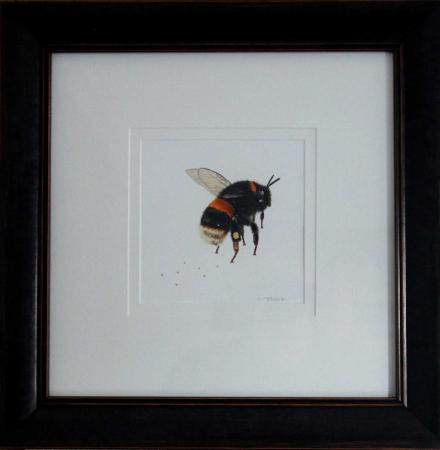 Clive Meredith - Buff Tailed Bumblebee III - Bell Fine Art
